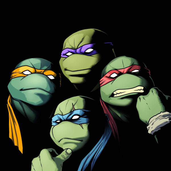 Teenage Mutant Ninja Turtles #1 (2024) Javan Jordan Cover. Afshari Com ...